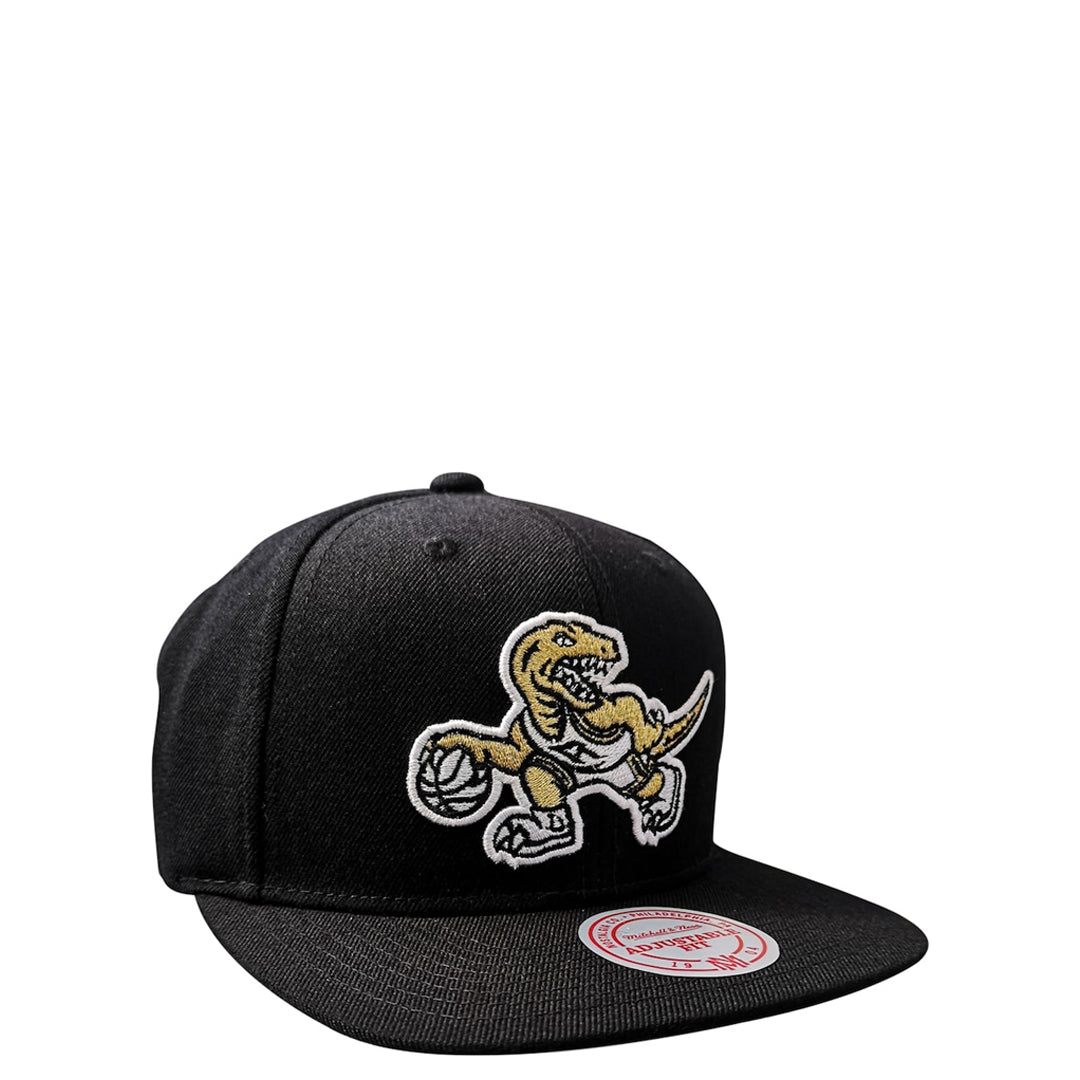 NBA TORONTO RAPTORS METALLIC GOLD DINO SNAPBACK – NRML